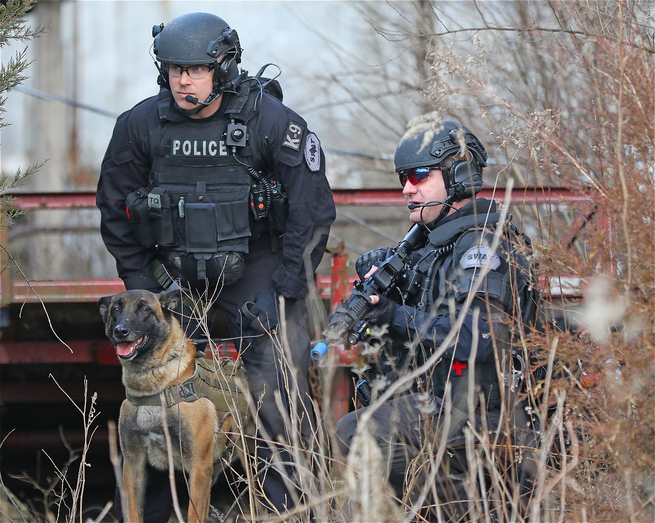 Photos - Pictures of Dogs in the Military & Police (K9) | Page 24 | A ...